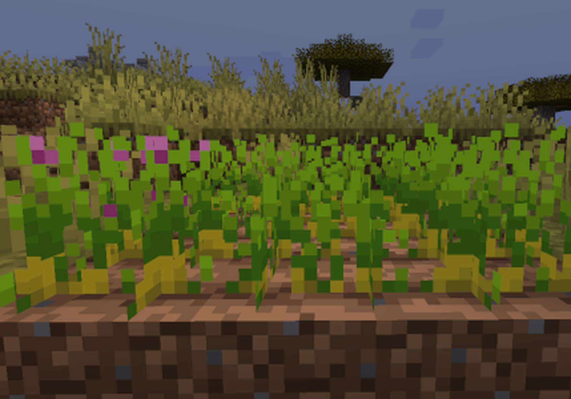 The onion pack Minecraft Texture Pack