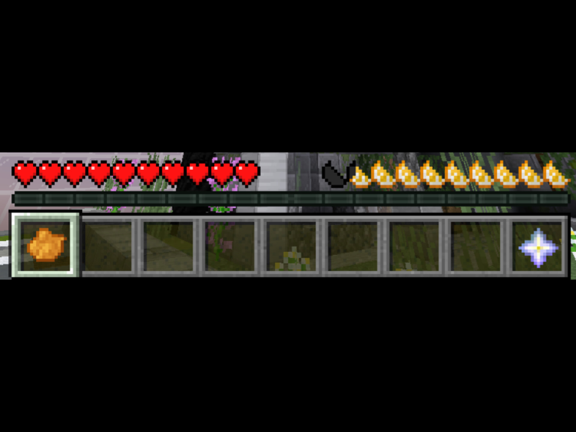 Orange Slice Hunger Bar (Downloads for most versions) Minecraft Texture ...