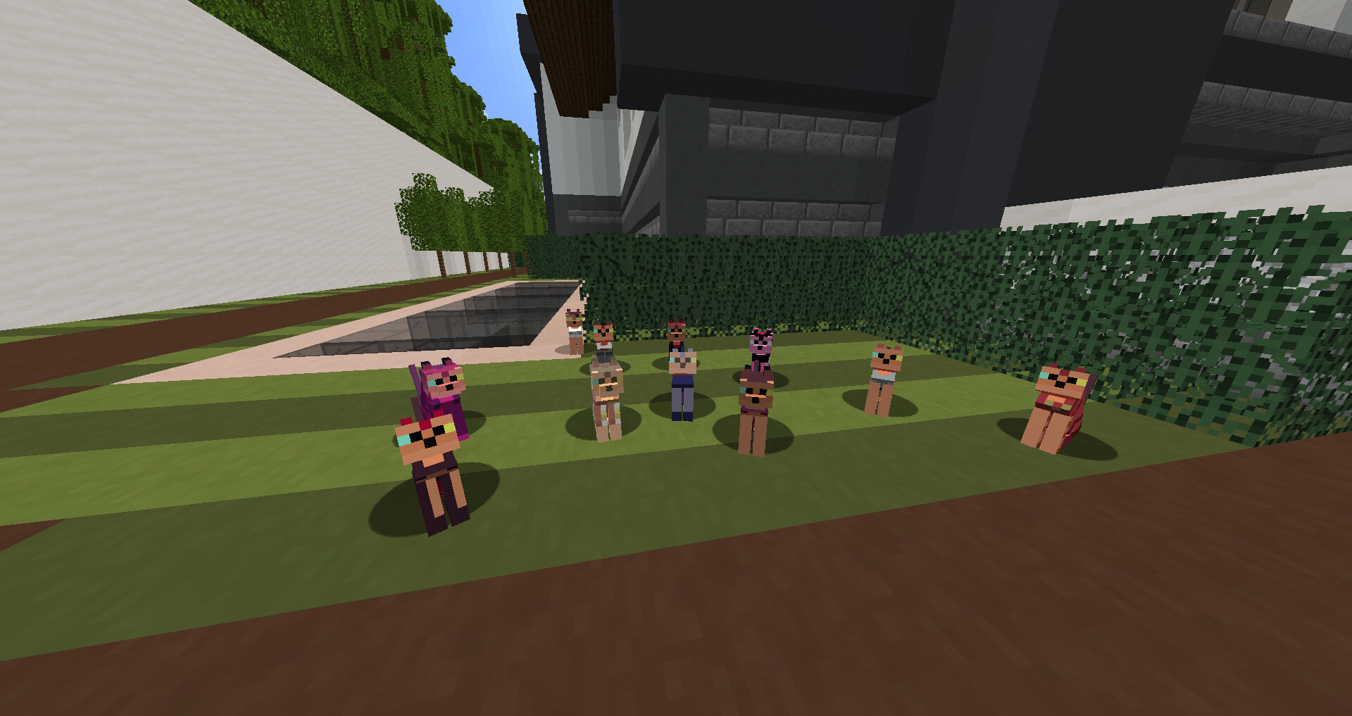 Catra Cat Texture Pack Minecraft Texture Pack