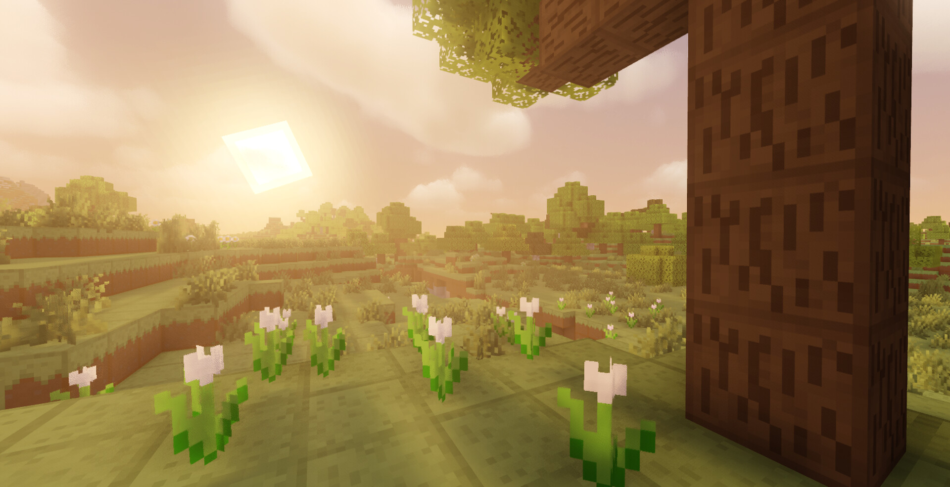 Robixel [0.6] Minecraft Texture Pack