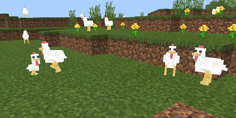 chicken new Minecraft Texture Pack