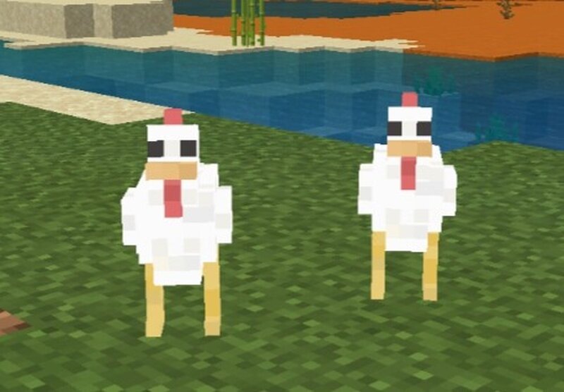 chicken new Minecraft Texture Pack