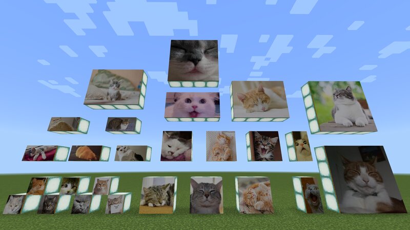 Cat Photos Minecraft Texture Pack