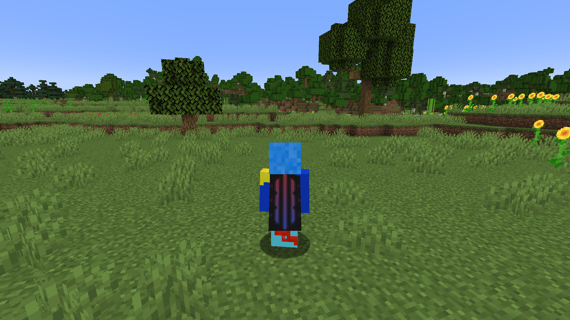 Capes! Minecraft Texture Pack