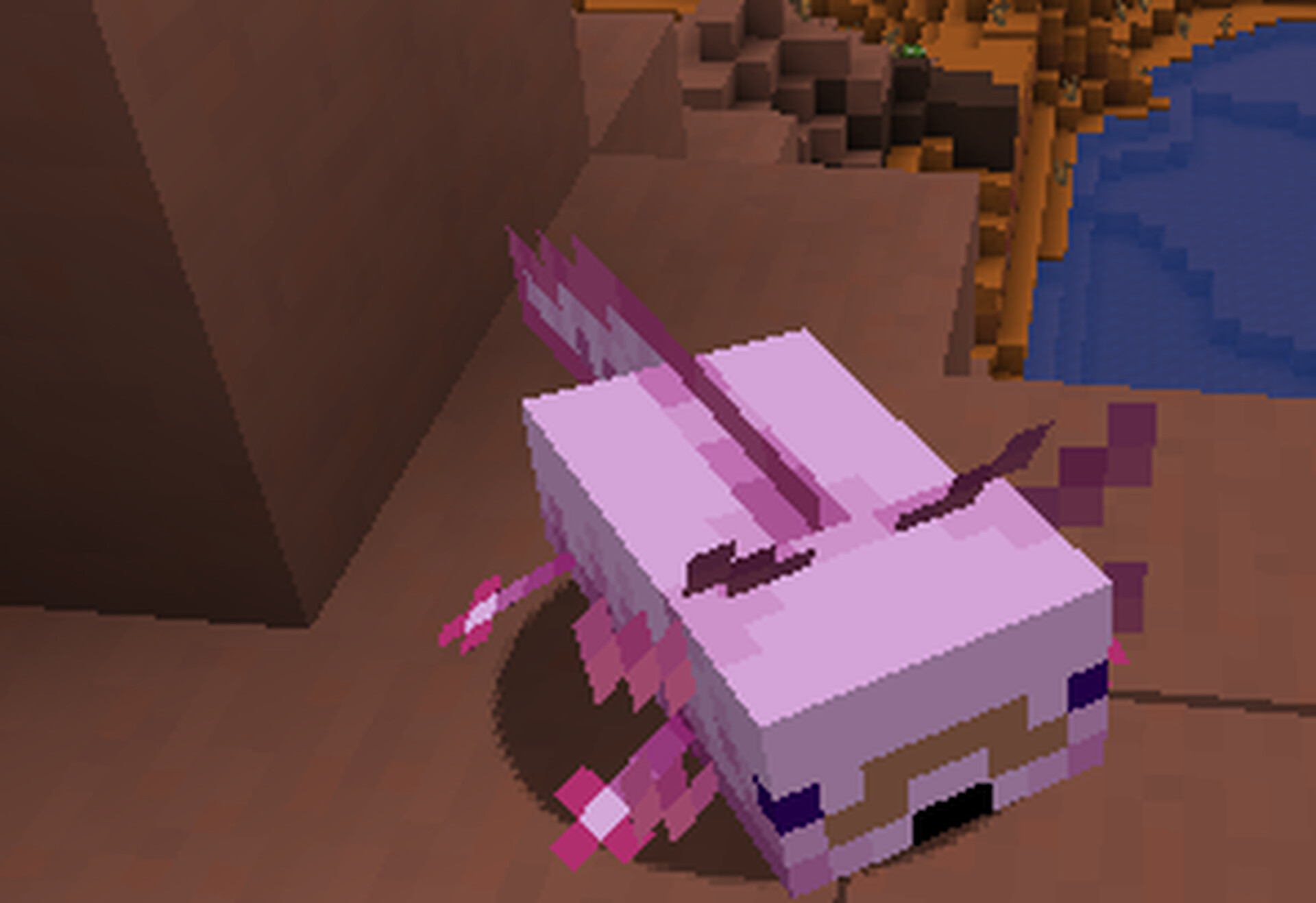 Pink Dolphins AND Other Axolotls Minecraft Texture Pack