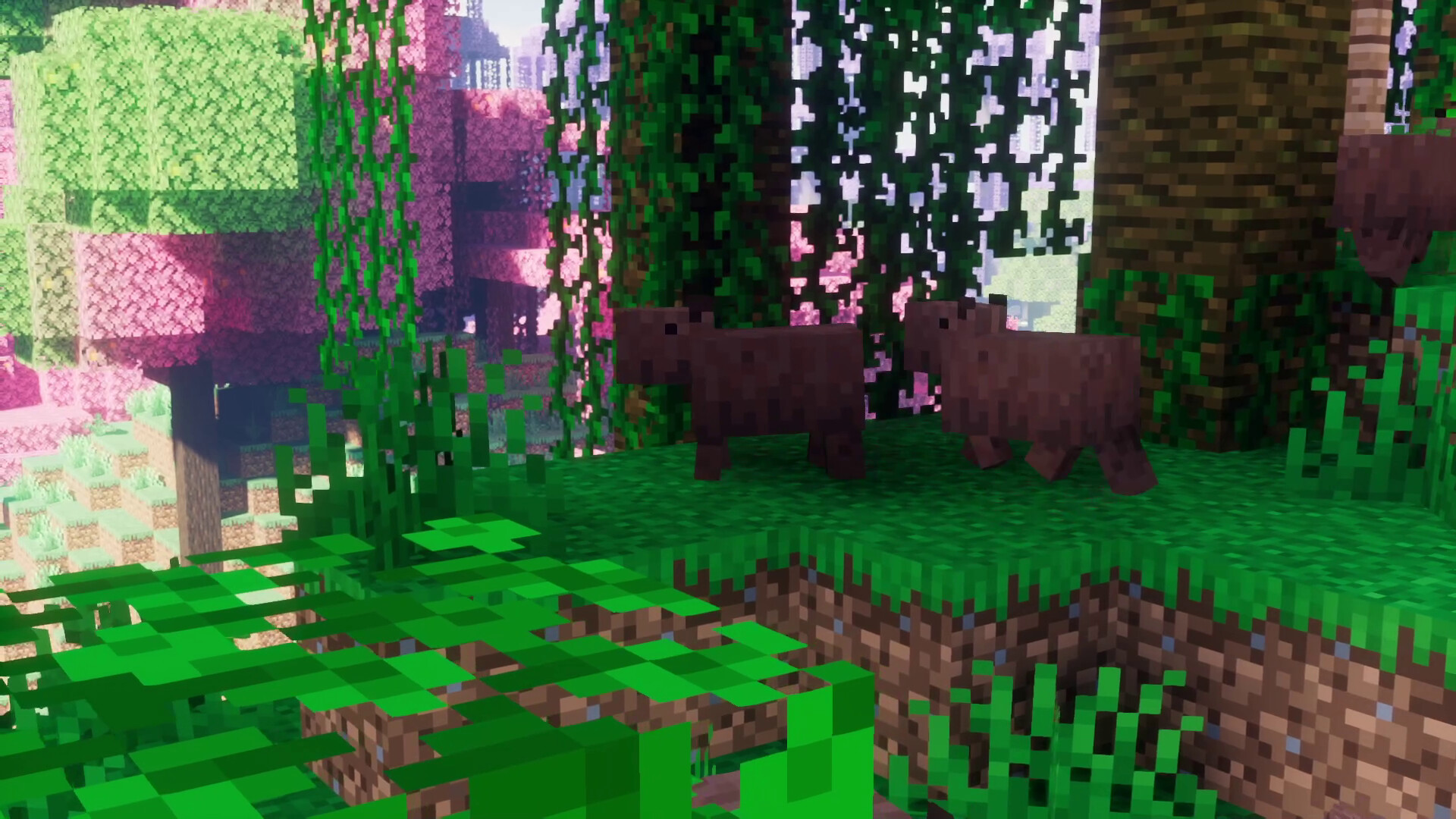 Modified LaggyBoi's Capybara Resource Pack 1.17.1(Optifine) Minecraft ...