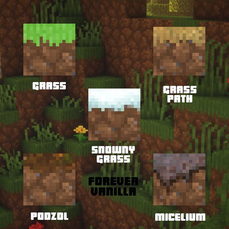 Better Grass&Dirt (ForeverVanilla) Minecraft Texture Pack