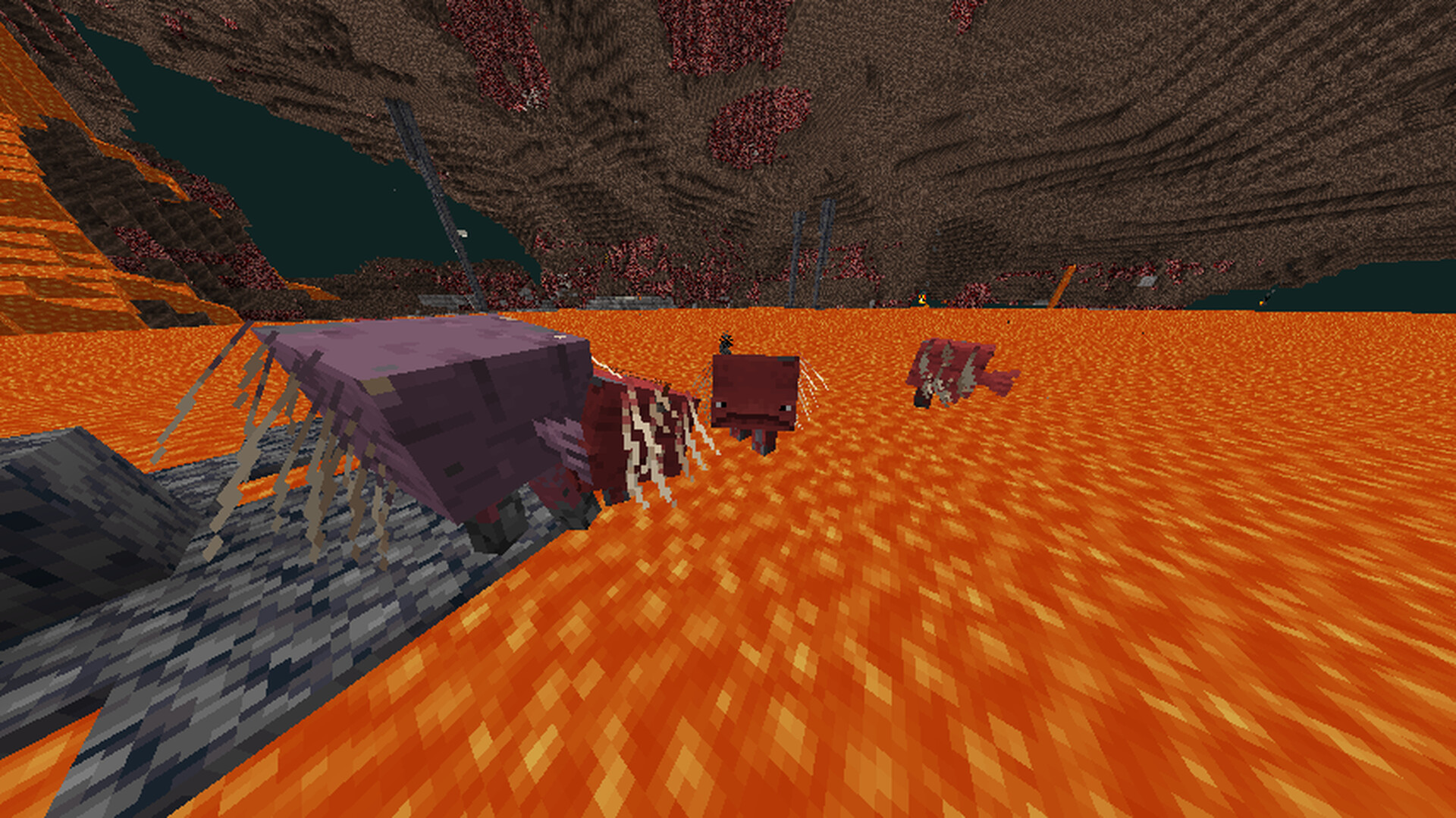 Strider Fins (OPTIFINE REQUIRED) Minecraft Texture Pack