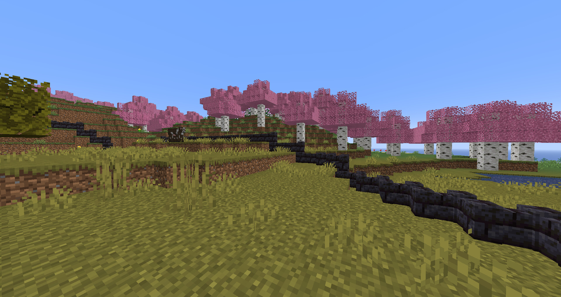 Cherry Blossom Birch Trees Minecraft Texture Pack