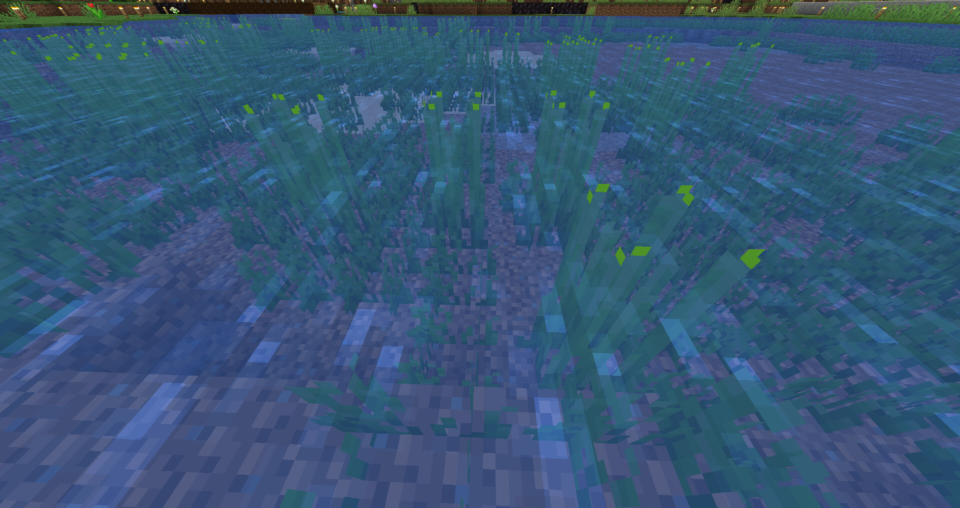 Sea grass fix Minecraft Texture Pack