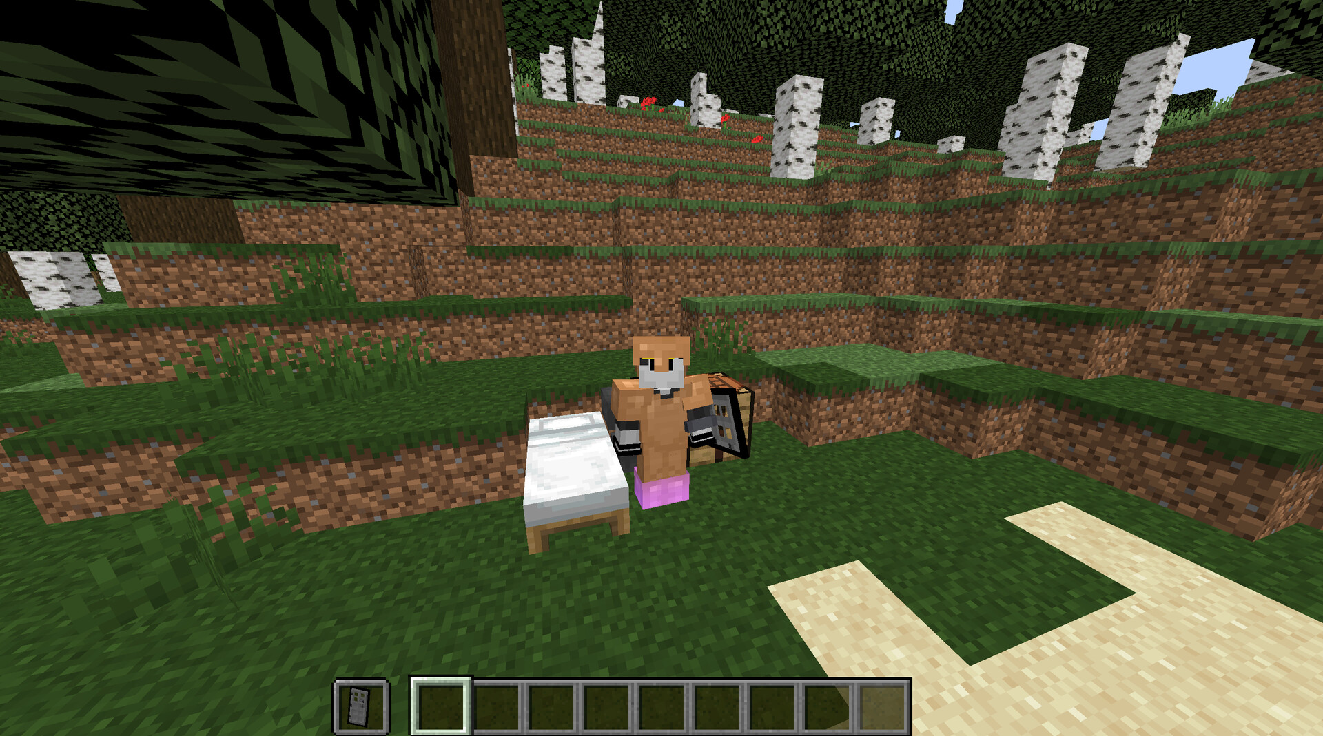 ByBlock (optifine required) Minecraft Texture Pack