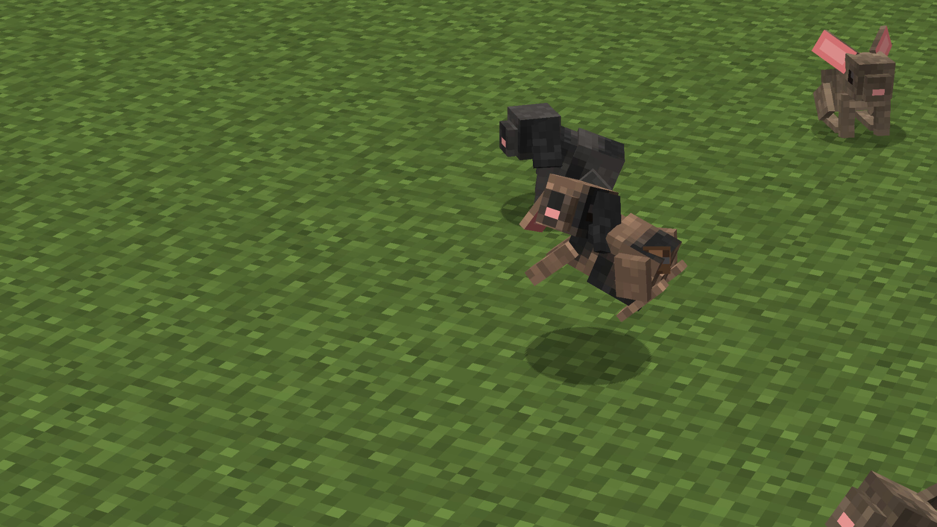 Uta´s Better Bunny / Rabbit (OptiFine Required) Minecraft Texture Pack