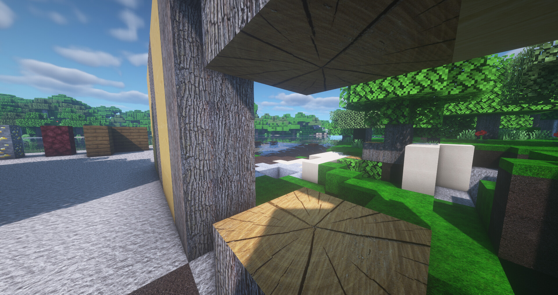 Photo reaslism 512x Minecraft Texture Pack