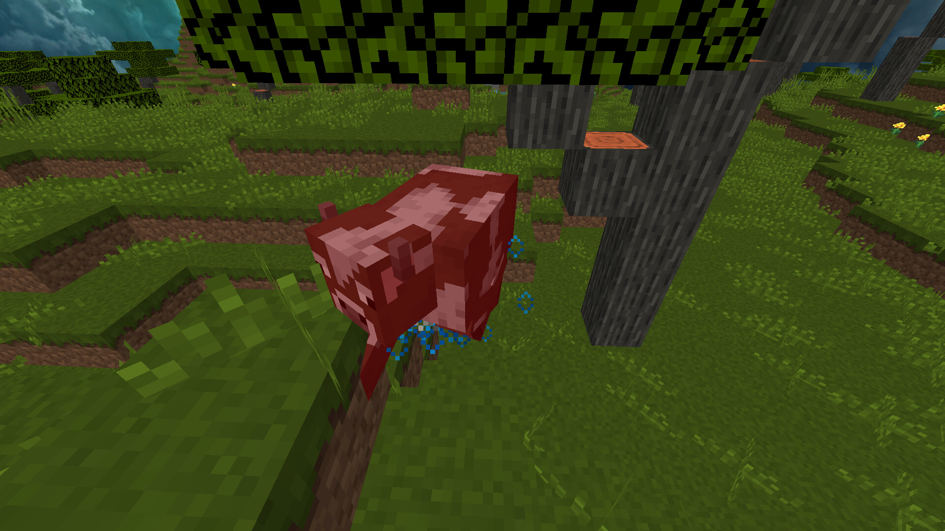 SammyFault{Revamp} Minecraft Texture Pack