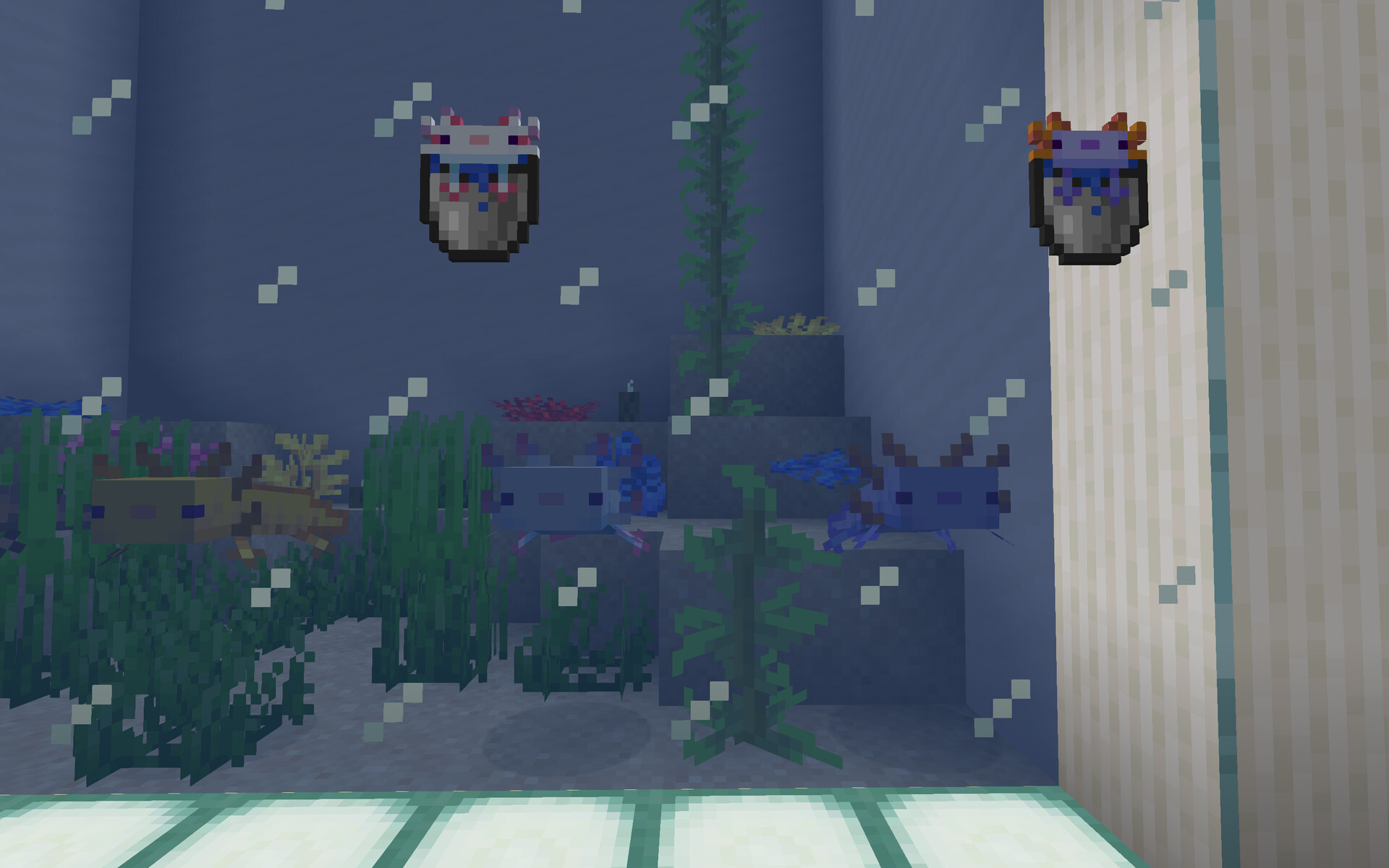 Variety Axolotl Bucket Minecraft Texture Pack