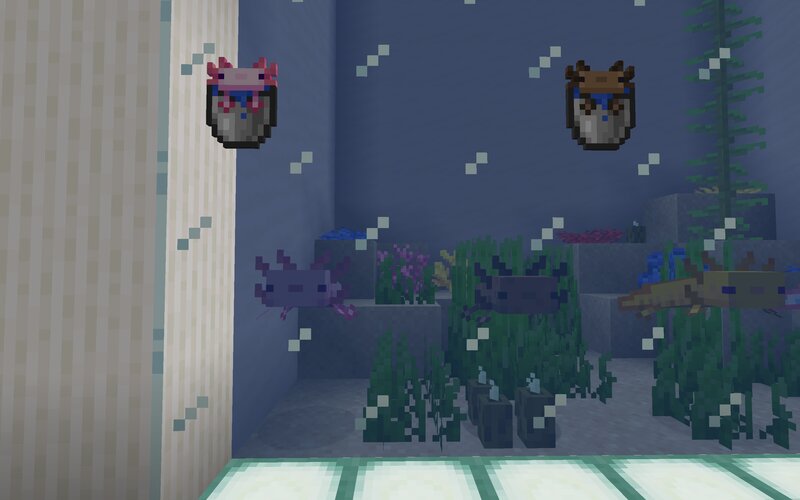 Variety Axolotl Bucket Minecraft Texture Pack