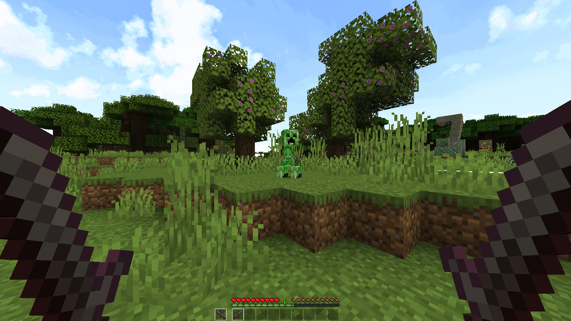 Sword Shield (Optifine) Minecraft Texture Pack