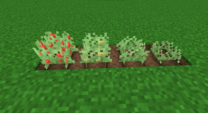 Tomatoes Minecraft Texture Pack