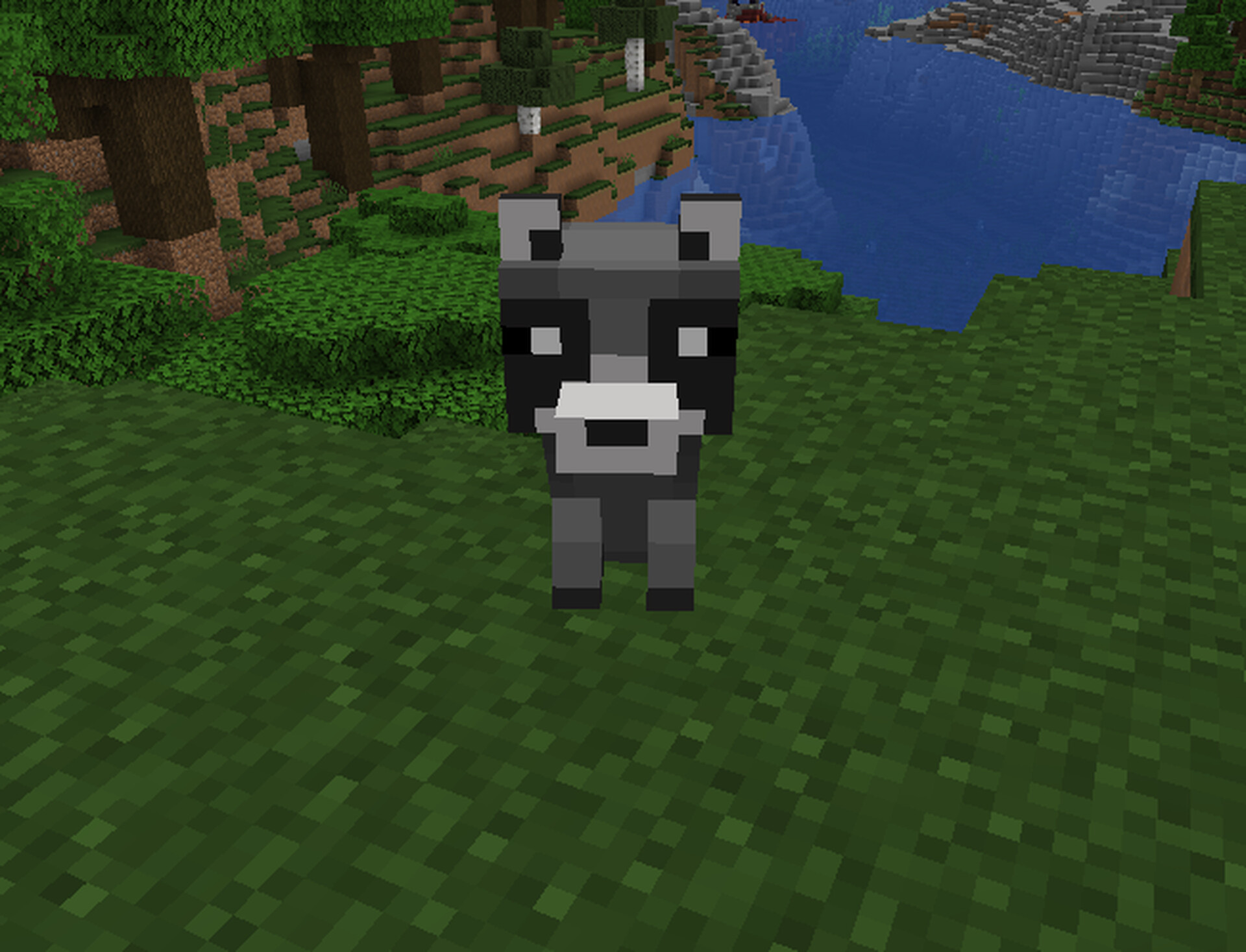 foxes to raccoons! Minecraft Texture Pack