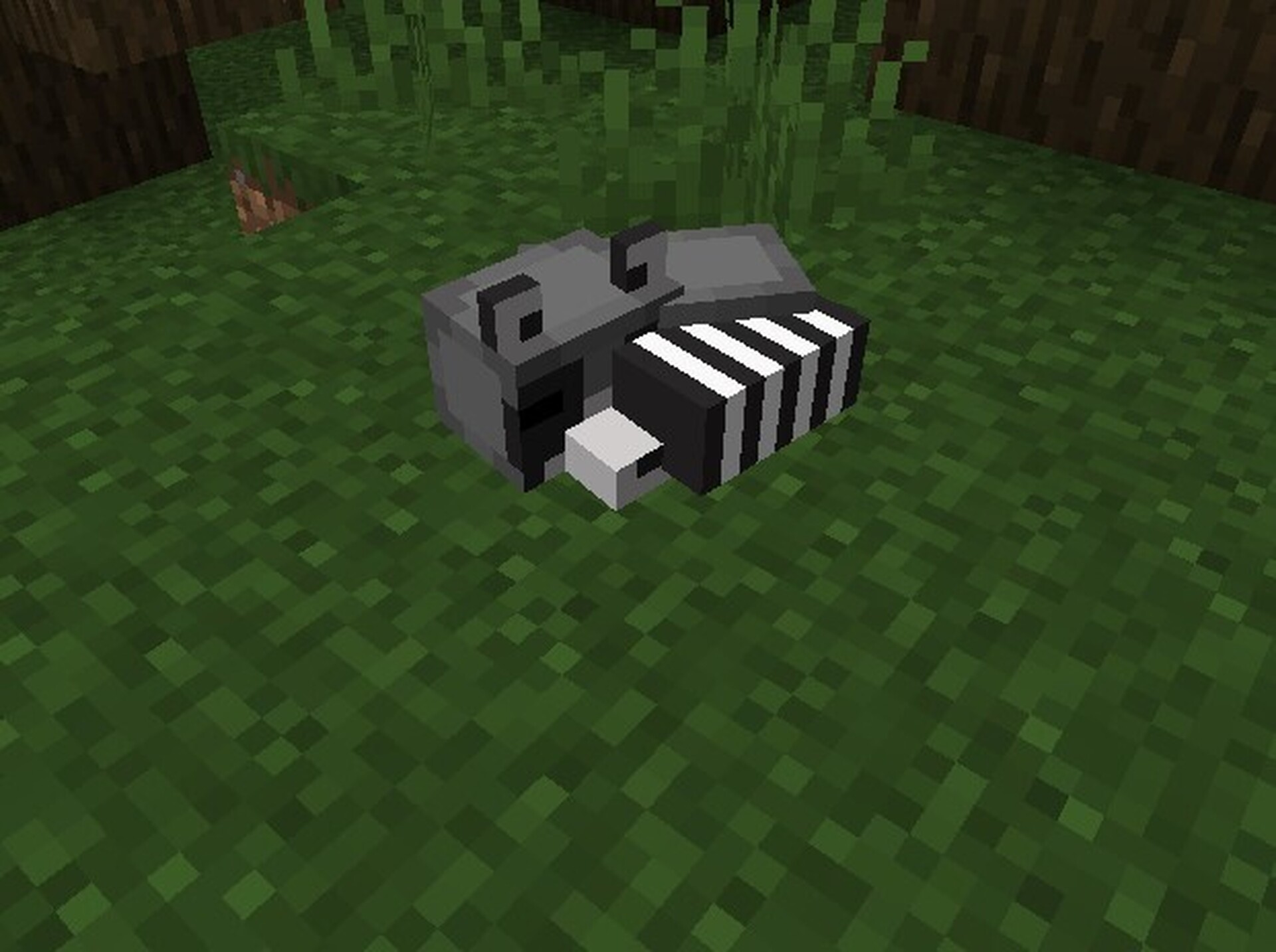 foxes to raccoons! Minecraft Texture Pack