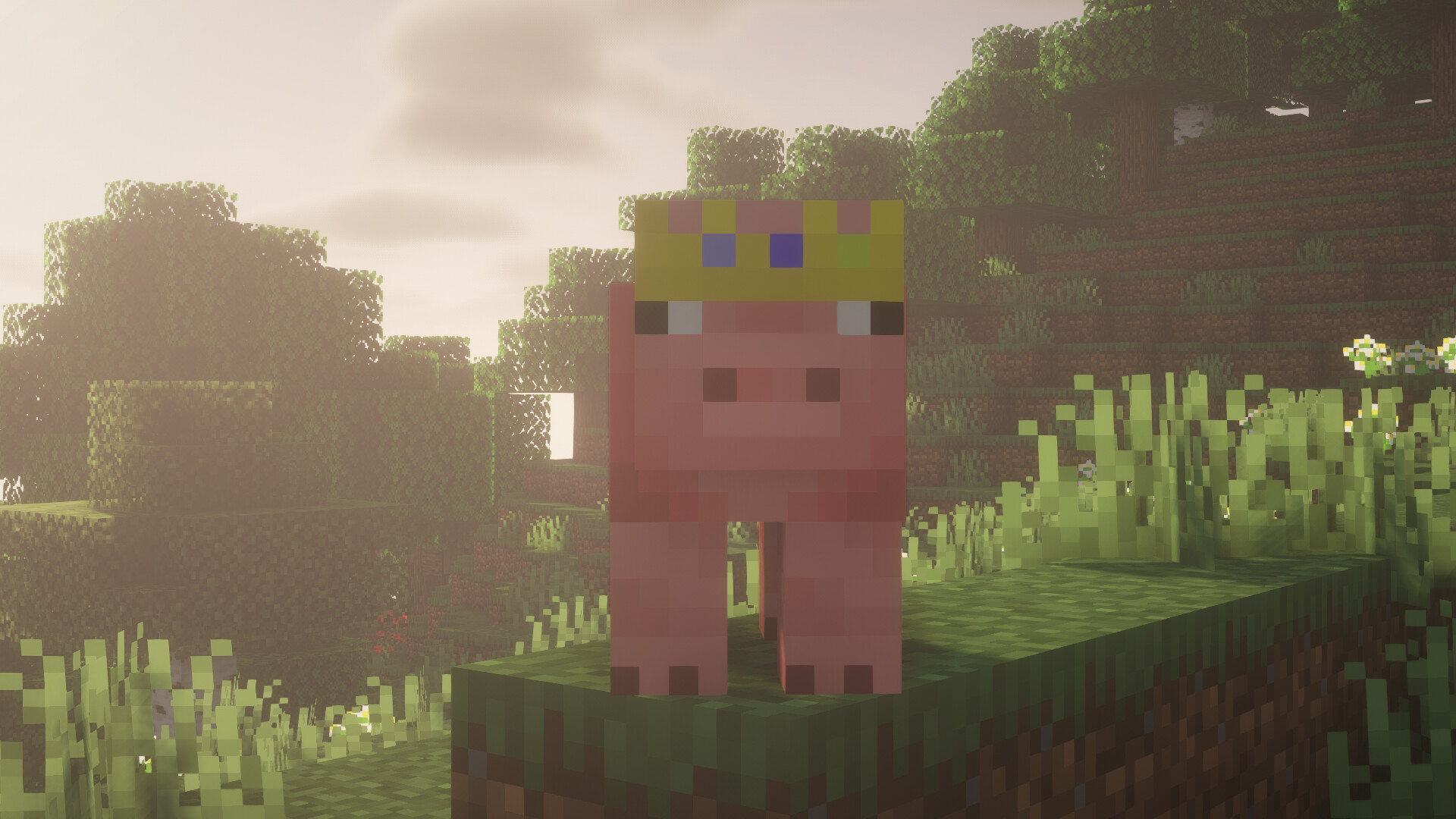 Pig Crown Texture Pack Minecraft Texture Pack