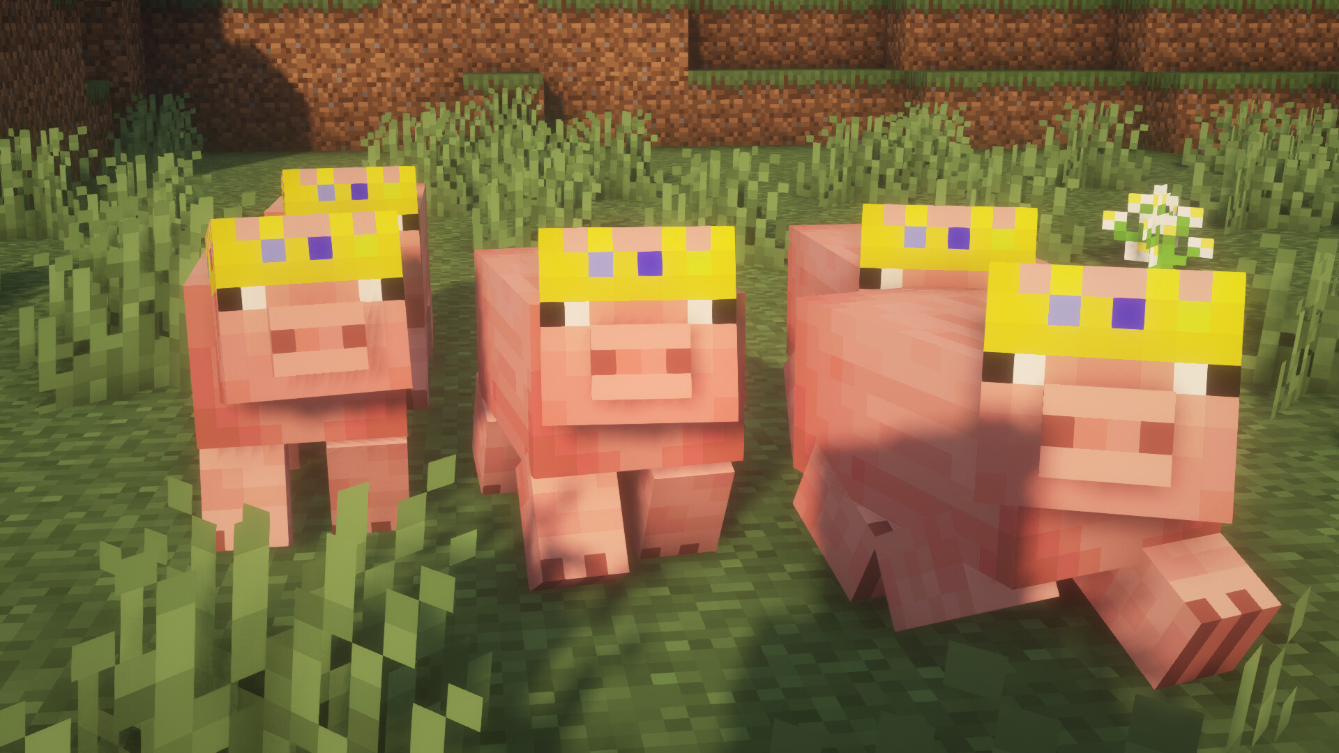 Pig Crown Texture Pack Minecraft Texture Pack