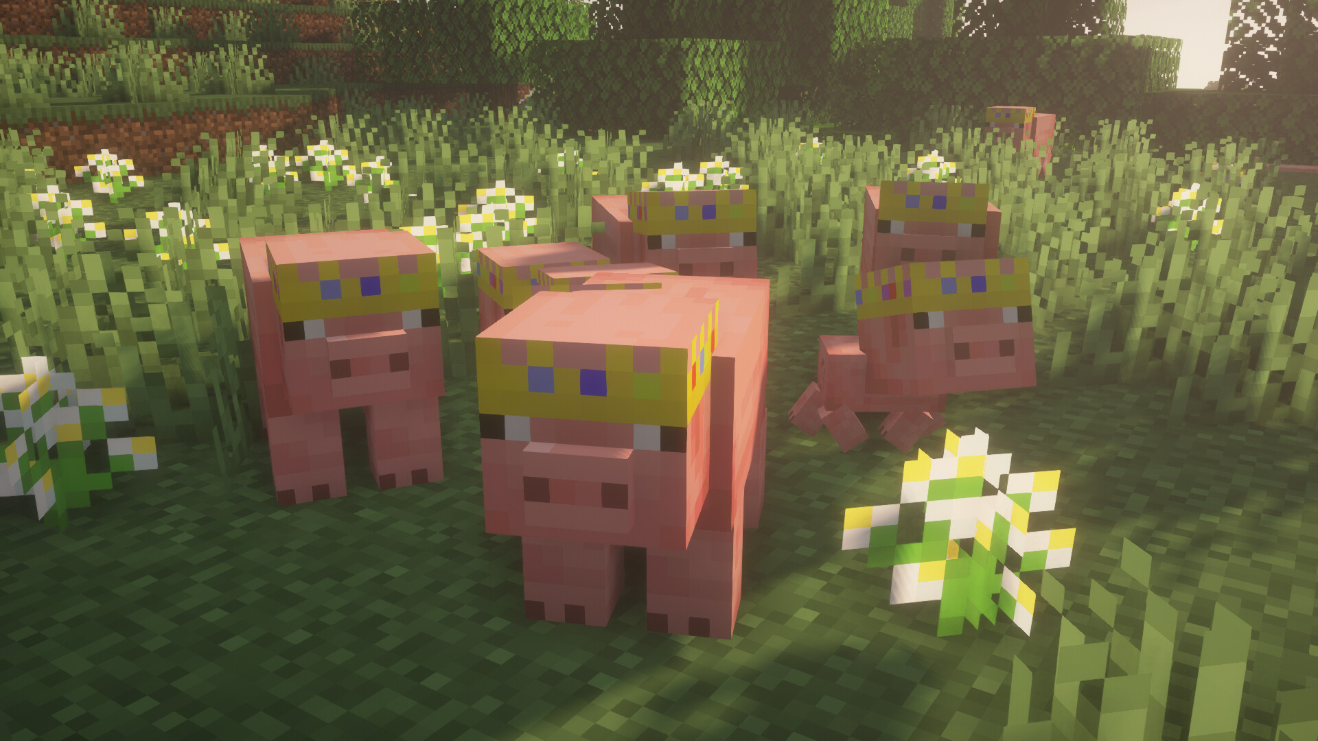 Pig Crown Texture Pack Minecraft Texture Pack