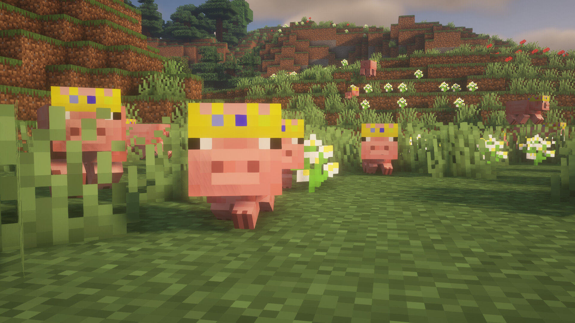 Pig Crown Texture Pack Minecraft Texture Pack