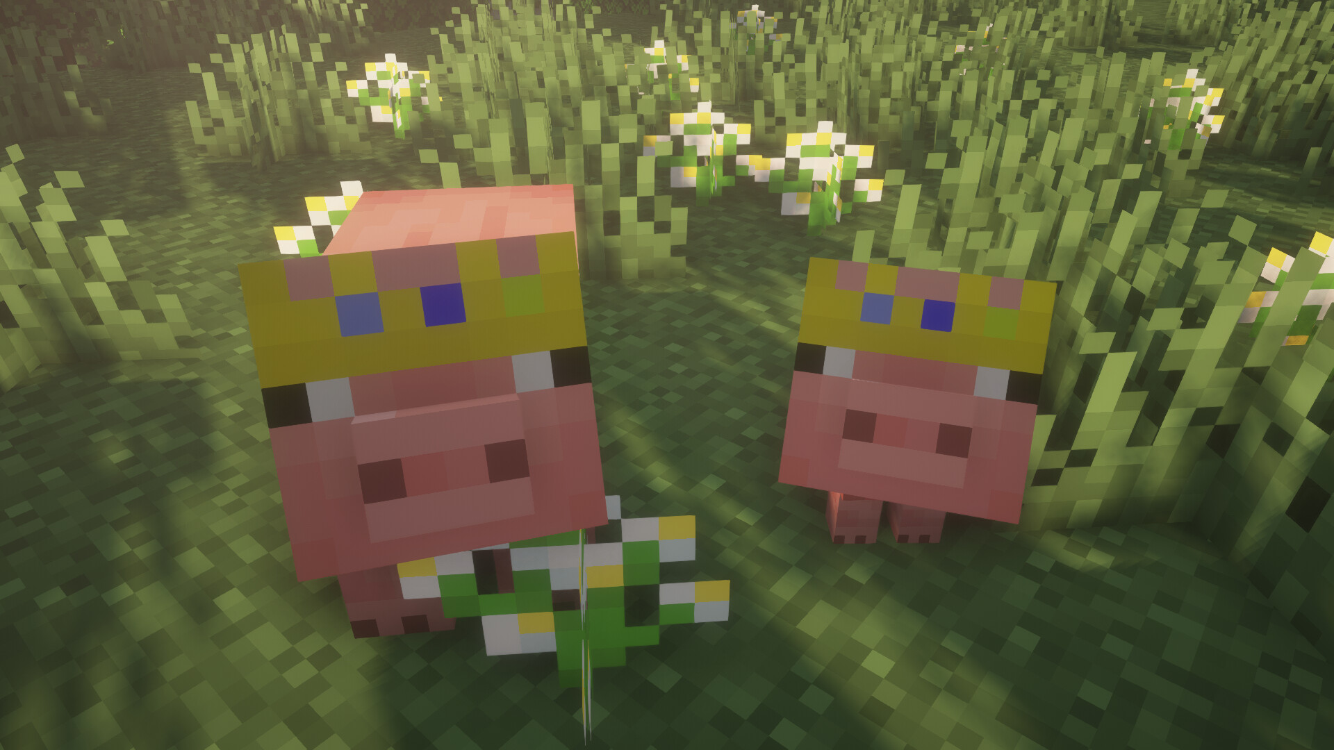 Pig Crown Texture Pack Minecraft Texture Pack