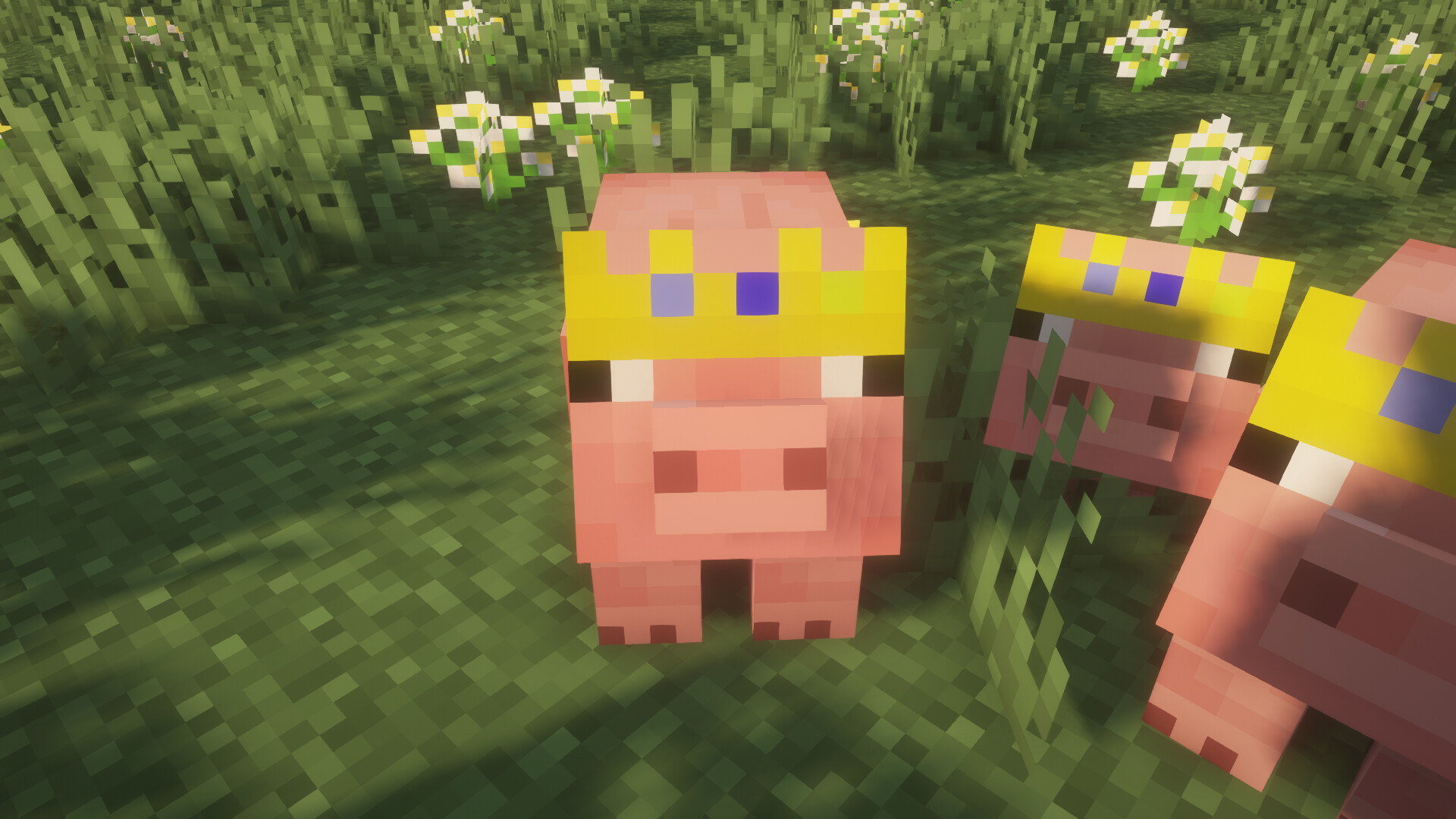 Pig Crown Texture Pack Minecraft Texture Pack