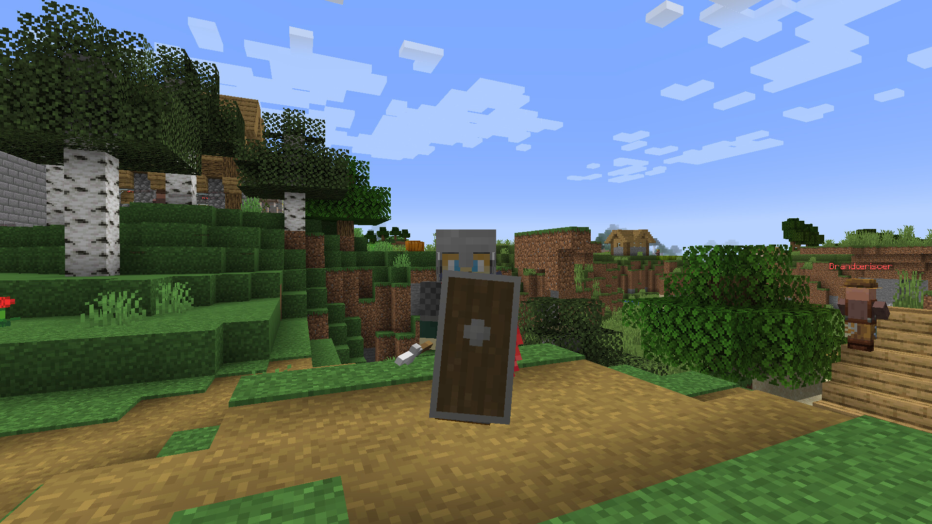 Medieval Textures - with skins and music Minecraft Texture Pack