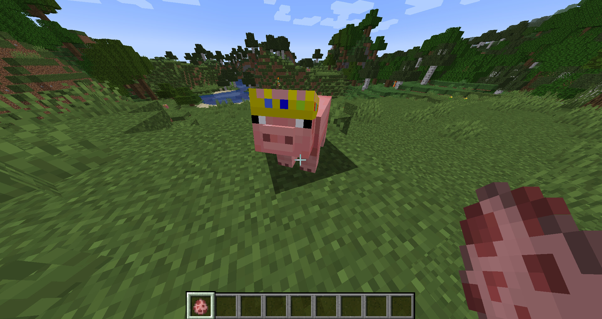 Technoblade Pigs (no optifine) Minecraft Texture Pack