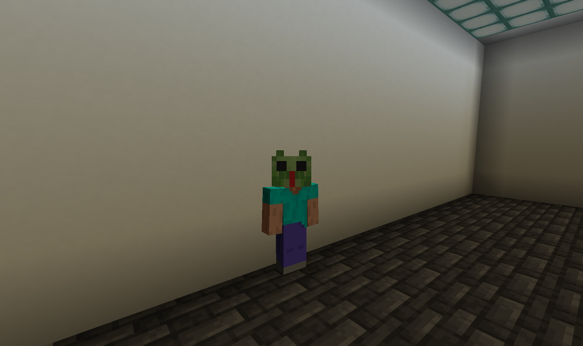 Cat Head Minecraft Texture Pack