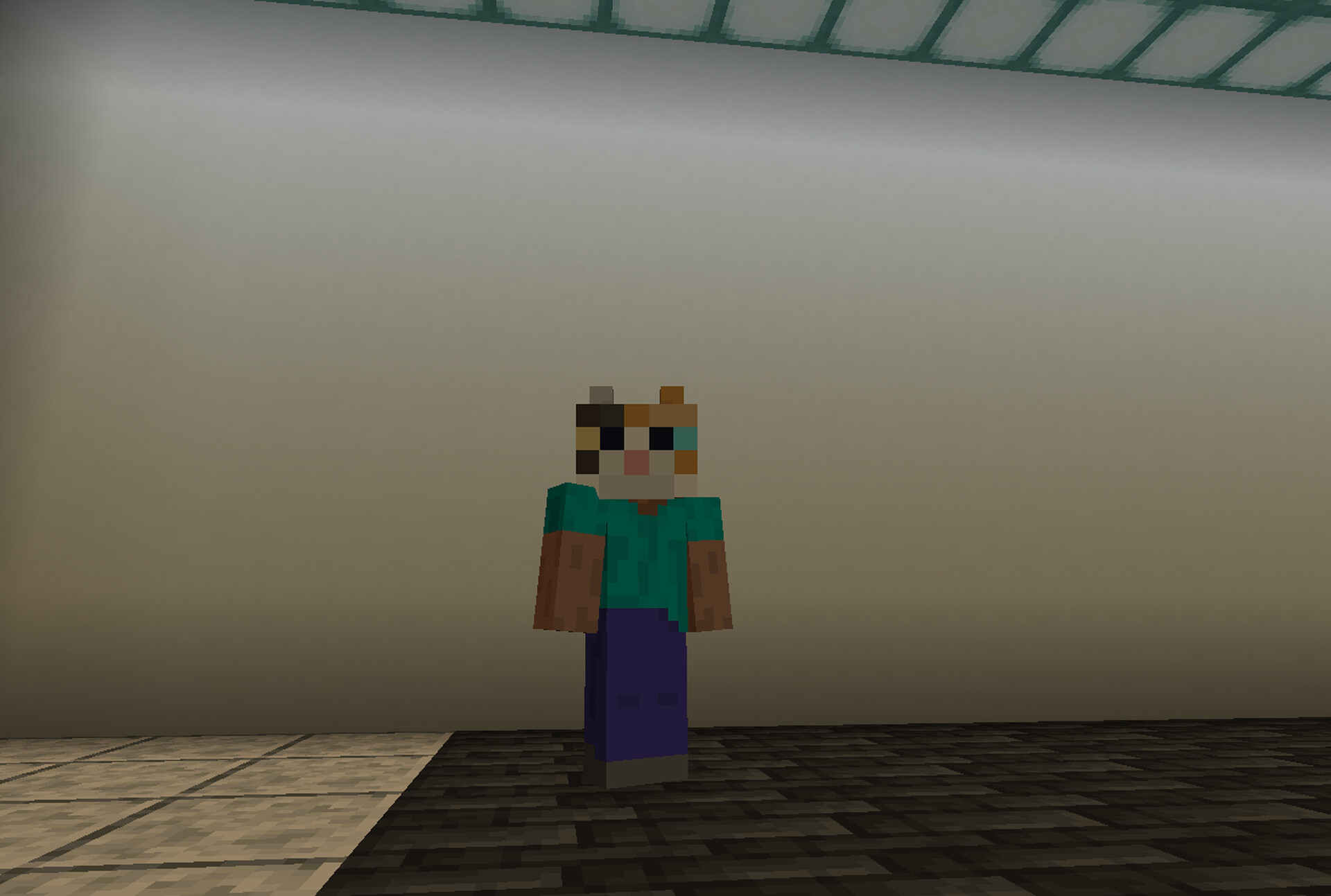 Cat Head Minecraft Texture Pack