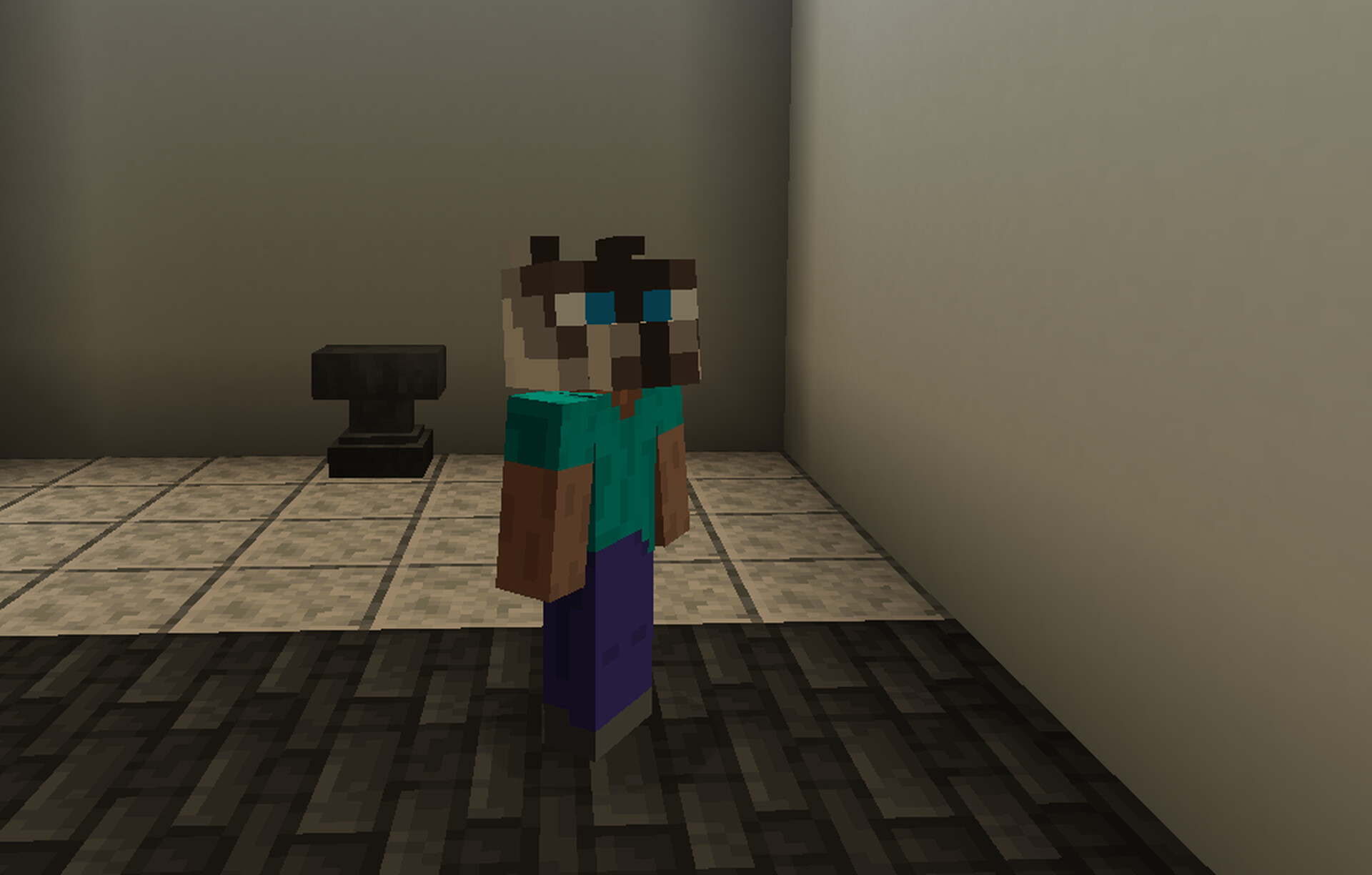 Cat Head Minecraft Texture Pack