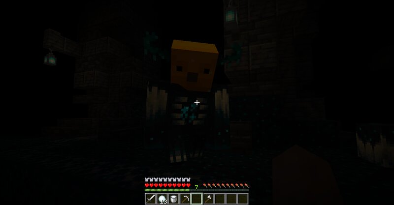 Warden is PUTIS BIRD [TF2] 1.19 Minecraft Texture Pack