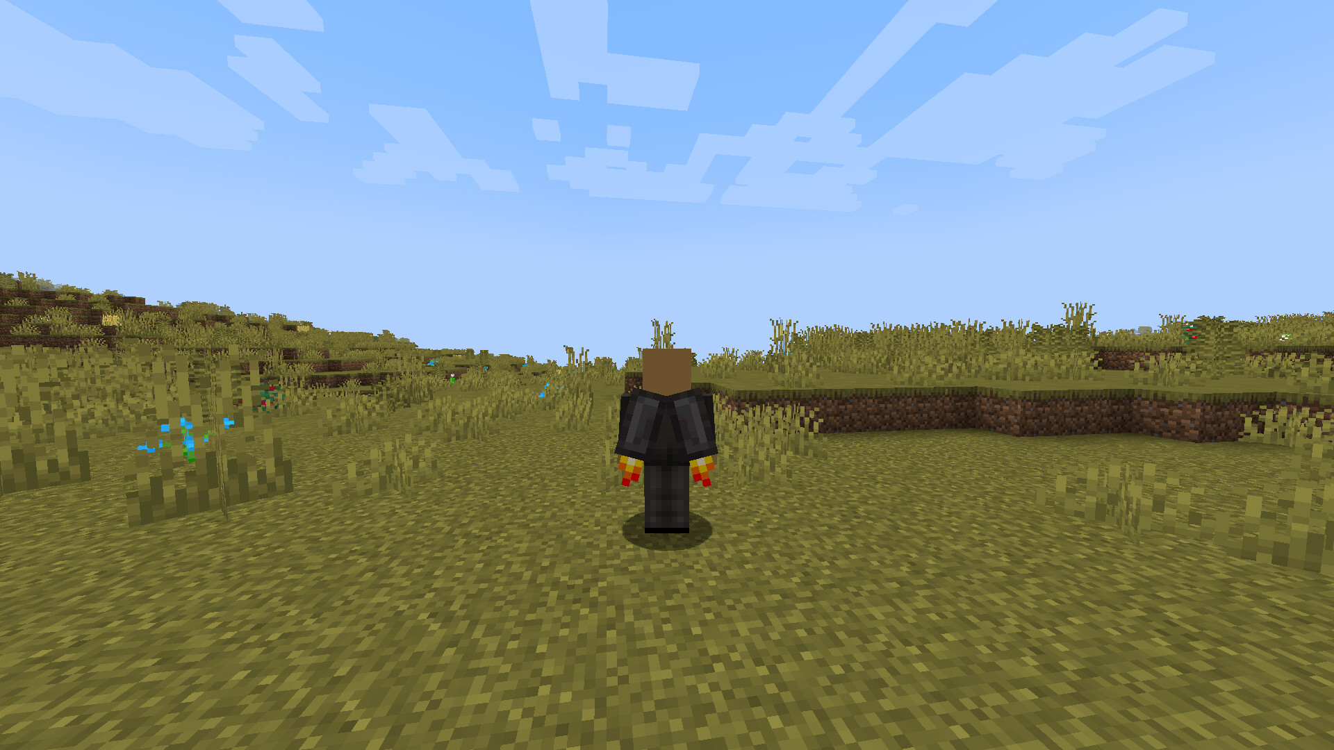 Jetpack elytra Minecraft Texture Pack