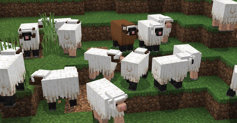 Goat Styled Sheep | Bedrock Port Minecraft Texture Pack