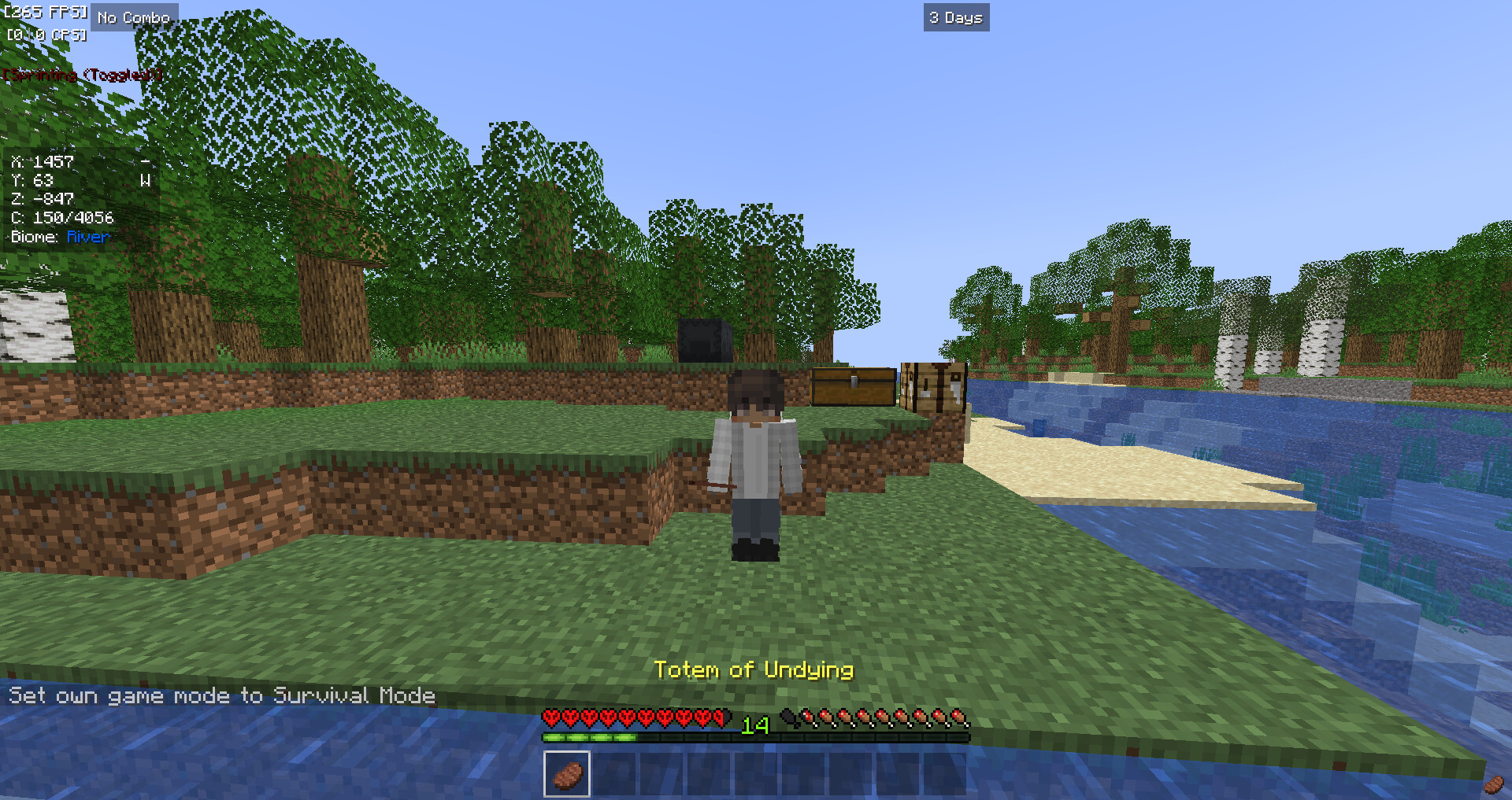 Steak Totem Minecraft Texture Pack