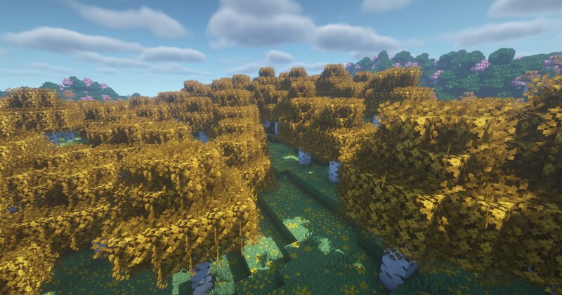 Alternate leaves Optifine ver. with Cherry birch and Red dark oak ...