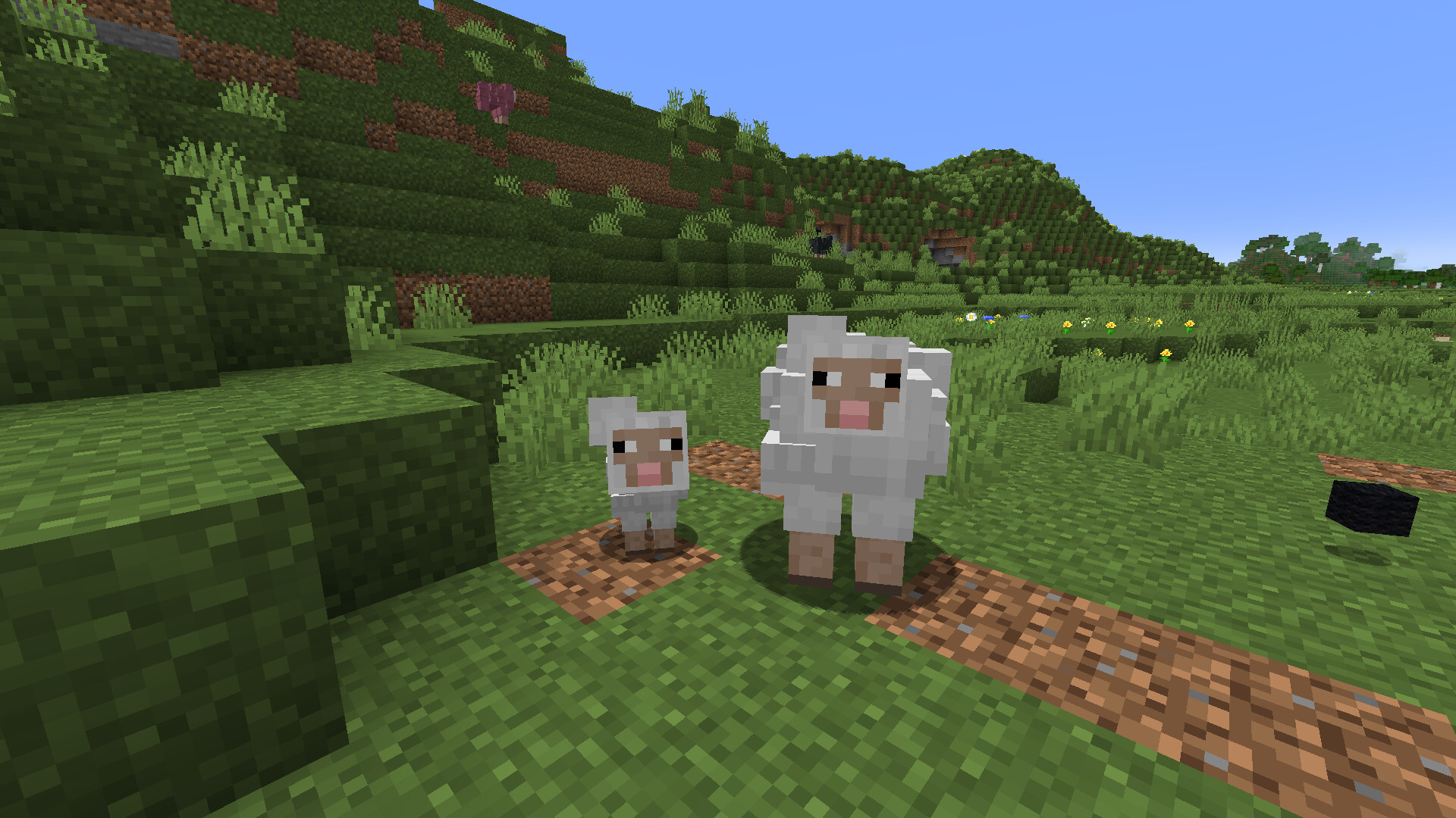 Fluffy Sheeps Minecraft Texture Pack