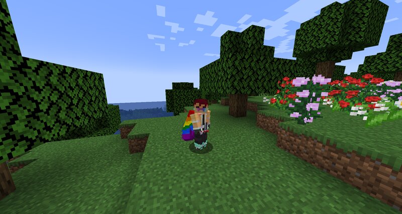 Elytra Pride Pack - 20+ Flags!! (+ Capes) Minecraft Texture Pack