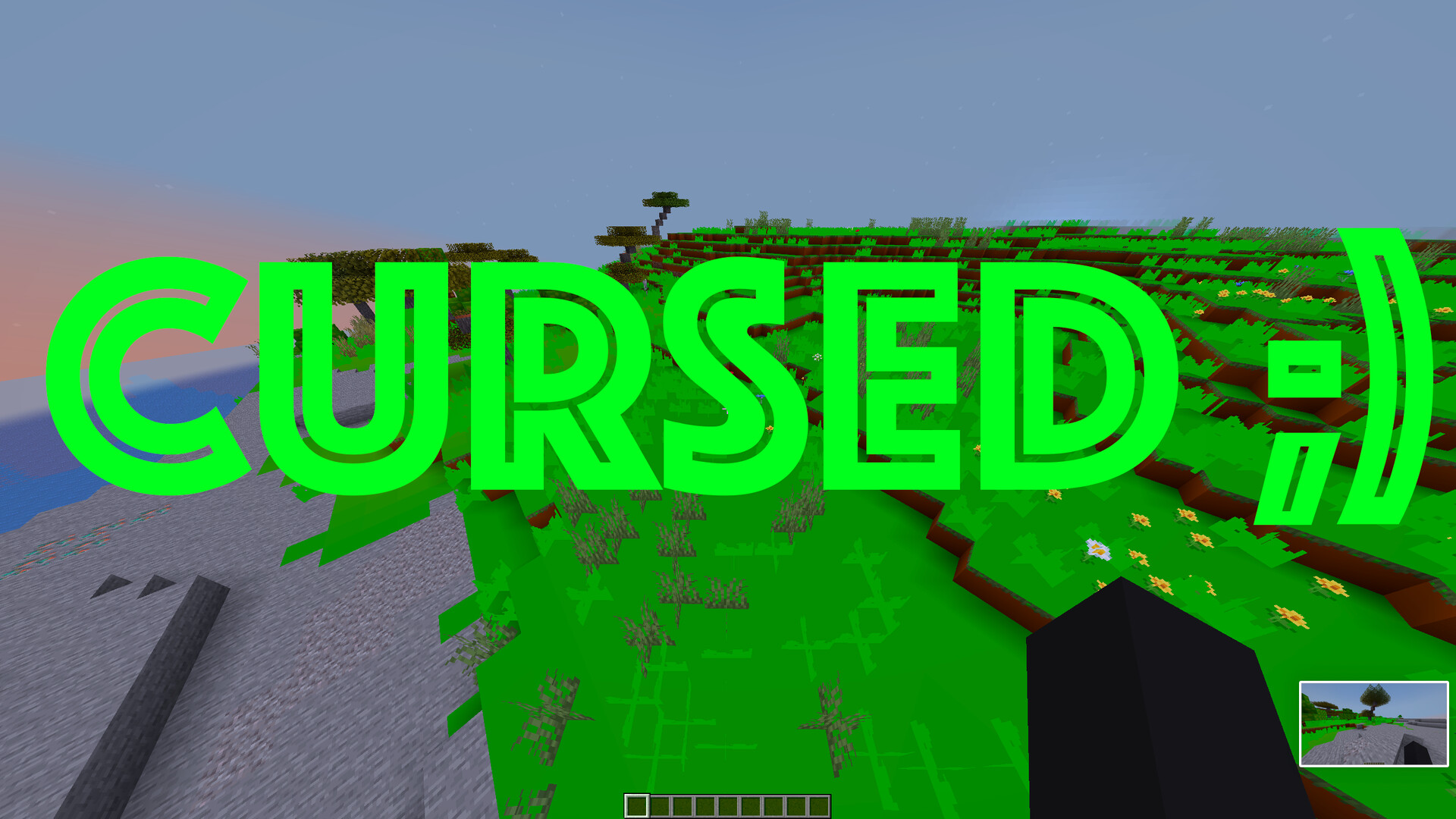 Translate Pack (cursed pack) Minecraft Texture Pack