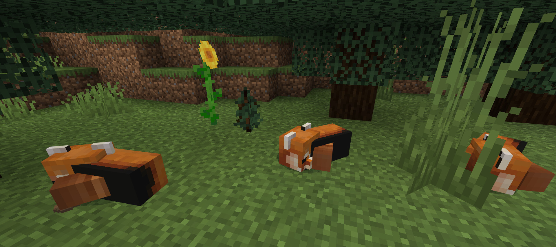 Foxes To Red Pandas (Bedrock) Minecraft Texture Pack