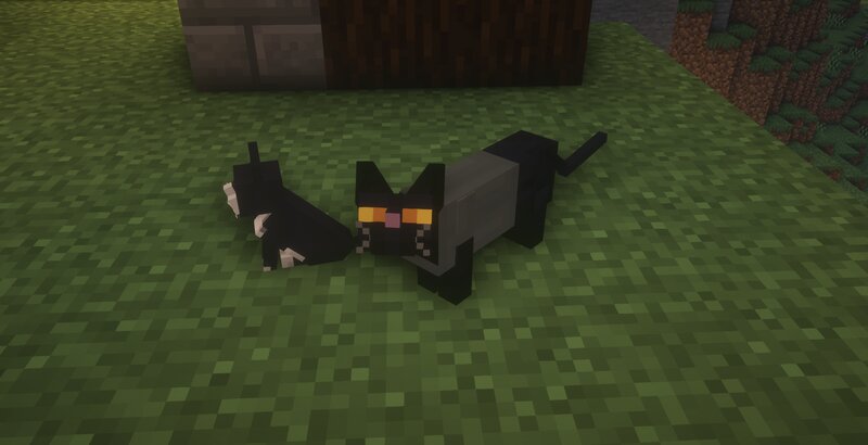 Cuter Cats Minecraft Texture Pack