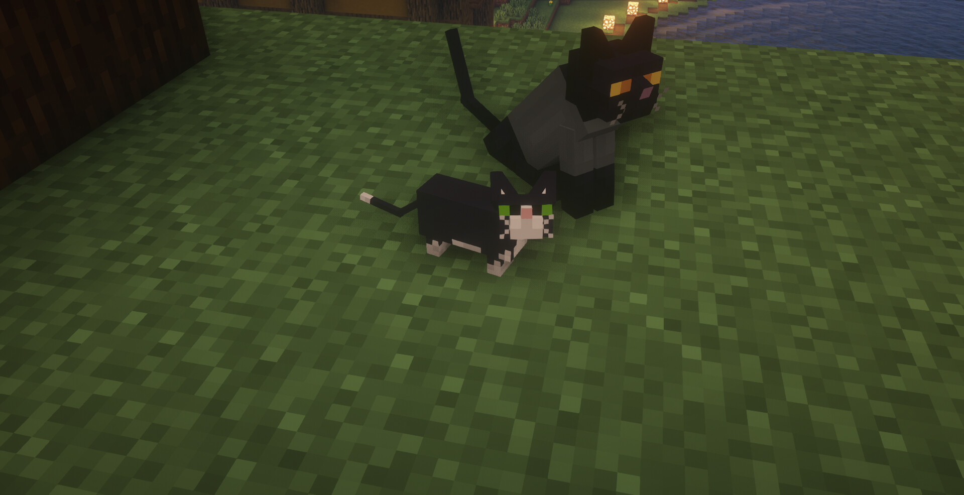 Cuter Cats Minecraft Texture Pack