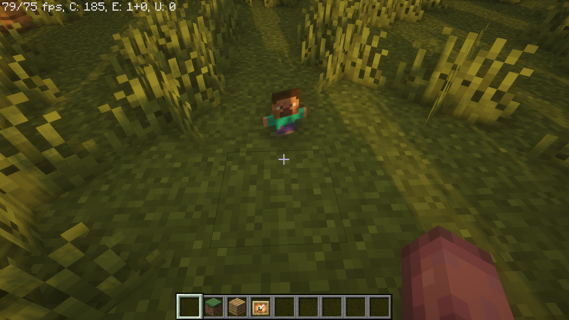 Steve Totem Minecraft Texture Pack