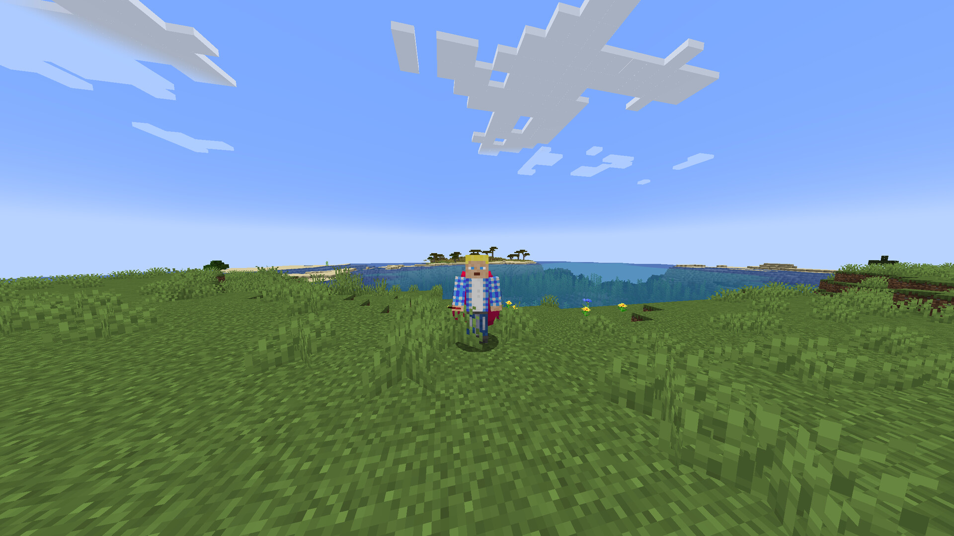 Red_Elytra 1.19.2 Minecraft Texture Pack