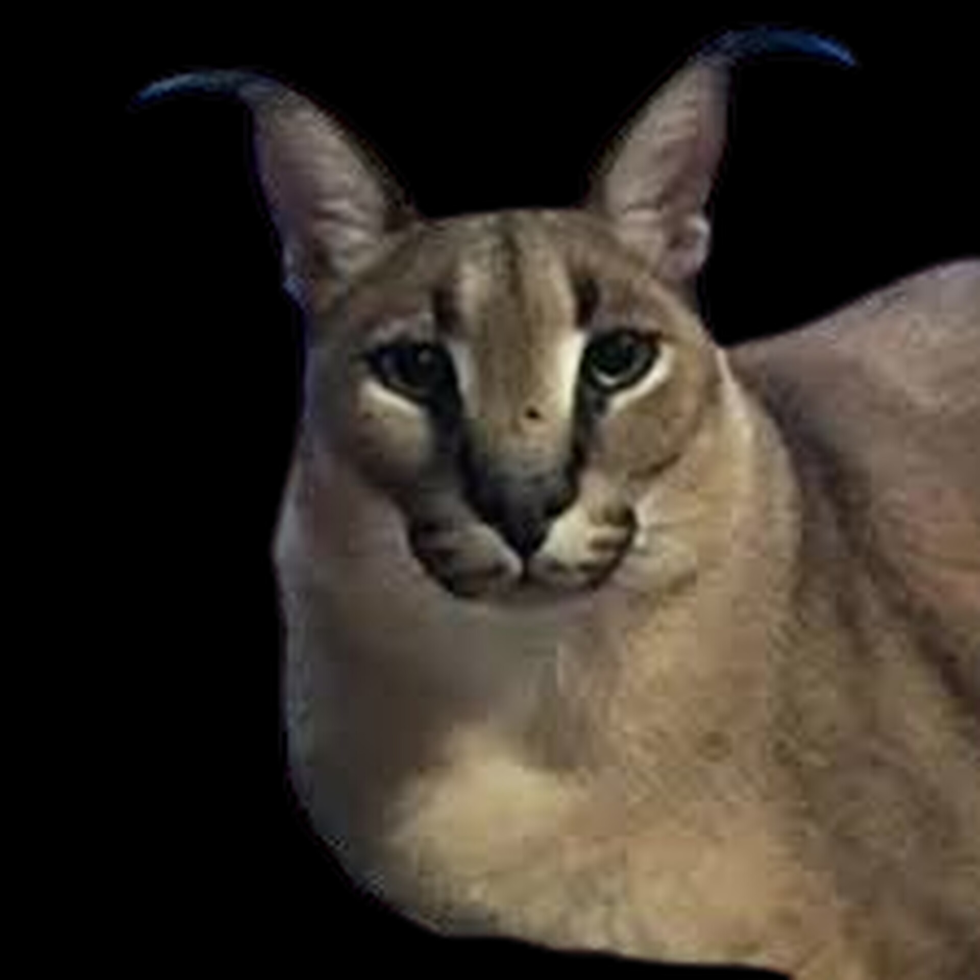 Floppa Totem of undying Minecraft Texture Pack