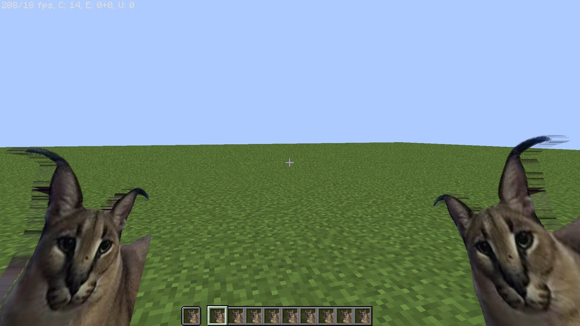 Floppa Totem of undying Minecraft Texture Pack